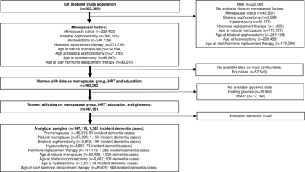 Associations of age at menopause, bilateral oophorectomy, hysterectomy ...
