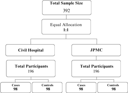 Impact of prenatal depression, anxiety and stress on low birth weight ...