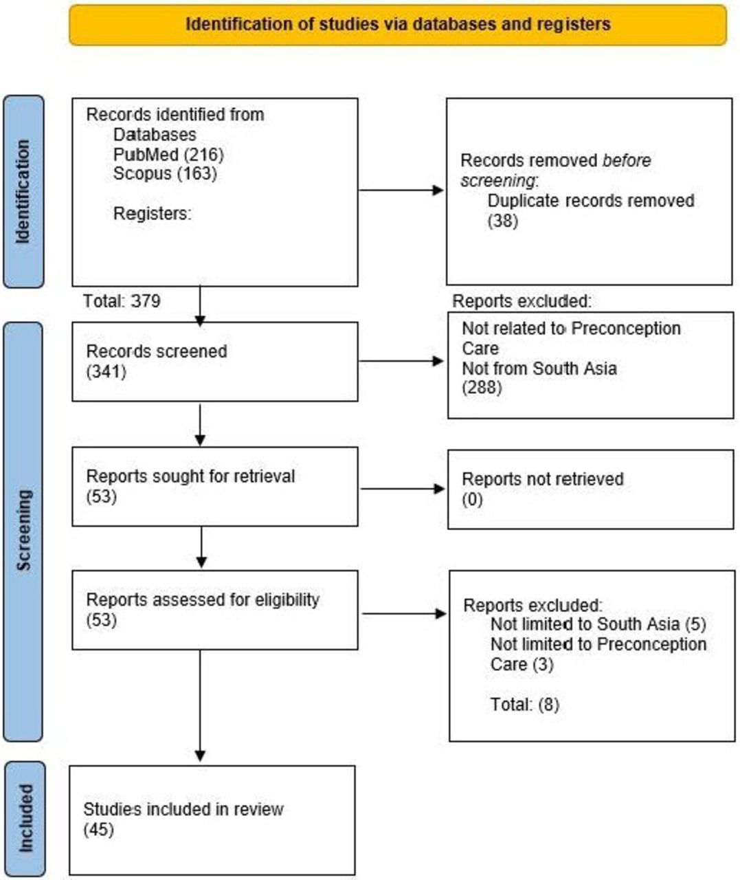 Preconception care in South Asia: awareness, risk factors and ...