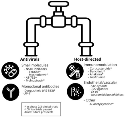 Dengue therapeutics consortium 2025: a global collaboration in action ...