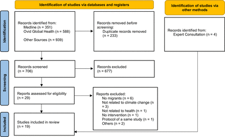 Perfect storm: a scoping review of interventions and preparedness ...