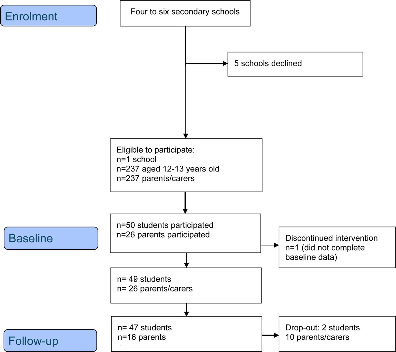 Feasibility and acceptability of a school-based Group Motivational ...