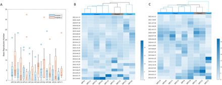Co-infection of multiple human papillomavirus genotypes and its effects ...